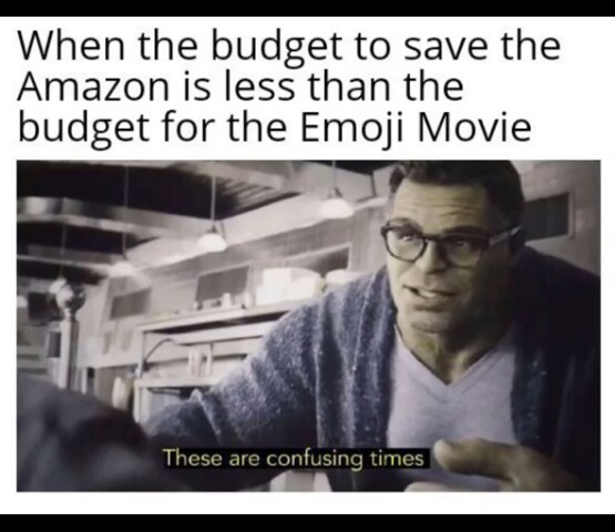 Really, life is often disappointing - Meme by Italian_Patatoe :) Memedroid