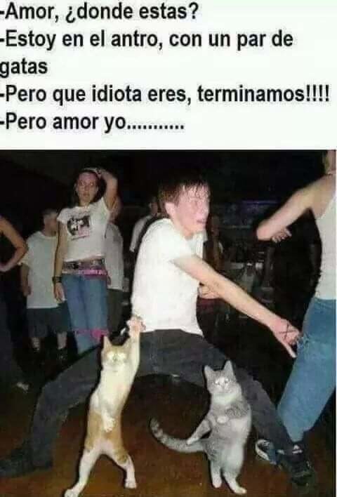 Top memes de Fiesta en español :) Memedroid