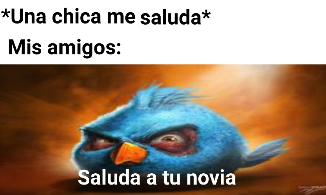 Los Últimos Memes :) Memedroid