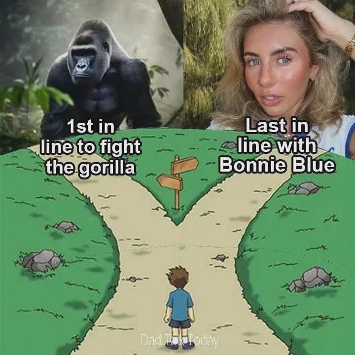The best Gorilla memes :) Memedroid