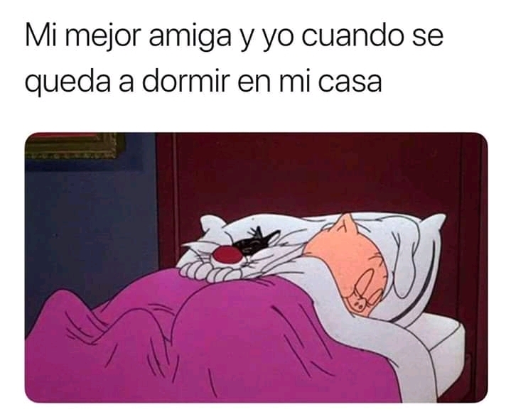 Tranquila puerca - Meme subido por Jairo92000 :) Memedroid