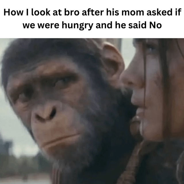 The best Bro memes :) Memedroid