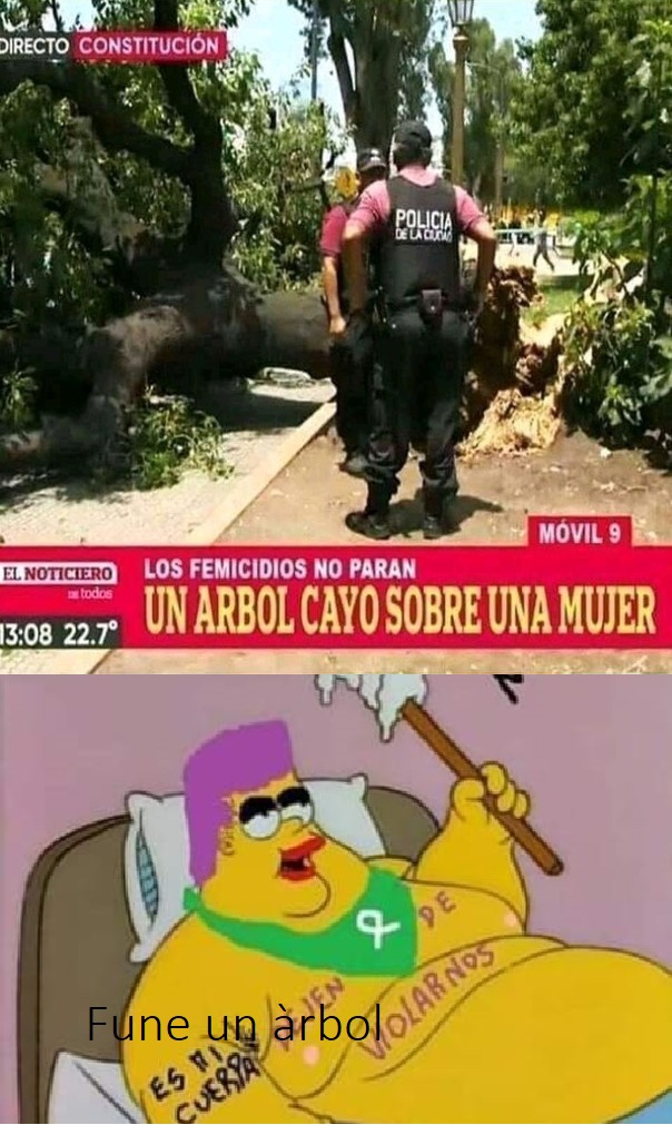 estaba moderando aparecio una captura de un meme con esta noticia ...