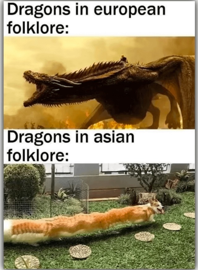 The best Dragon memes :) Memedroid