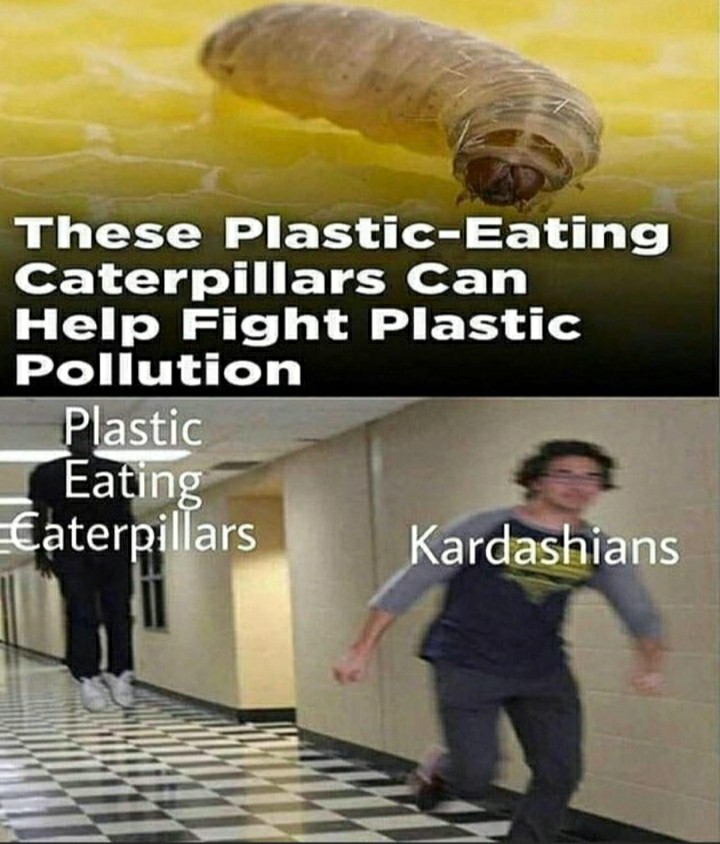 Plastic - Meme subido por Pablico012 :) Memedroid