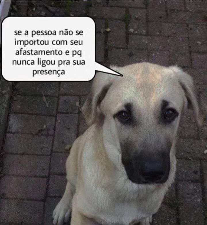 The Latest Memes :) Memedroid