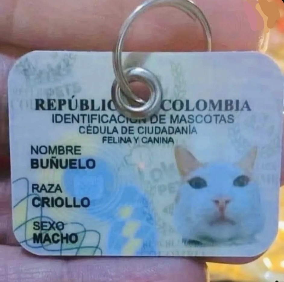 Top memes de Colombia en español :) Memedroid