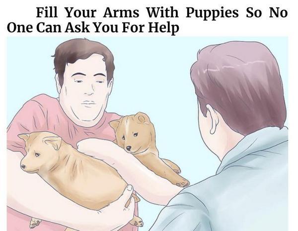 Dog rescue - Meme by Thelloyd :) Memedroid