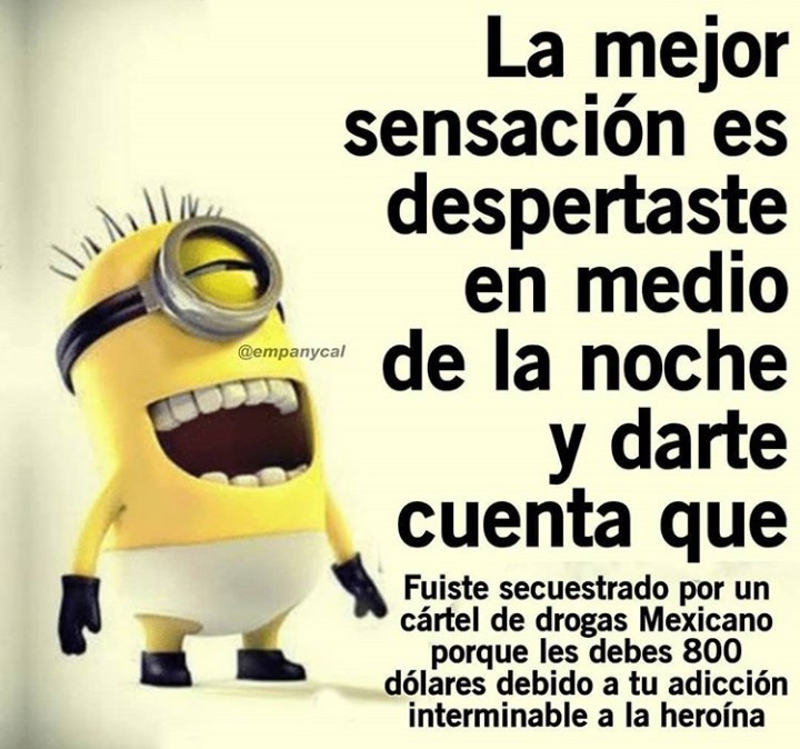 Minions Quotes In Spanish