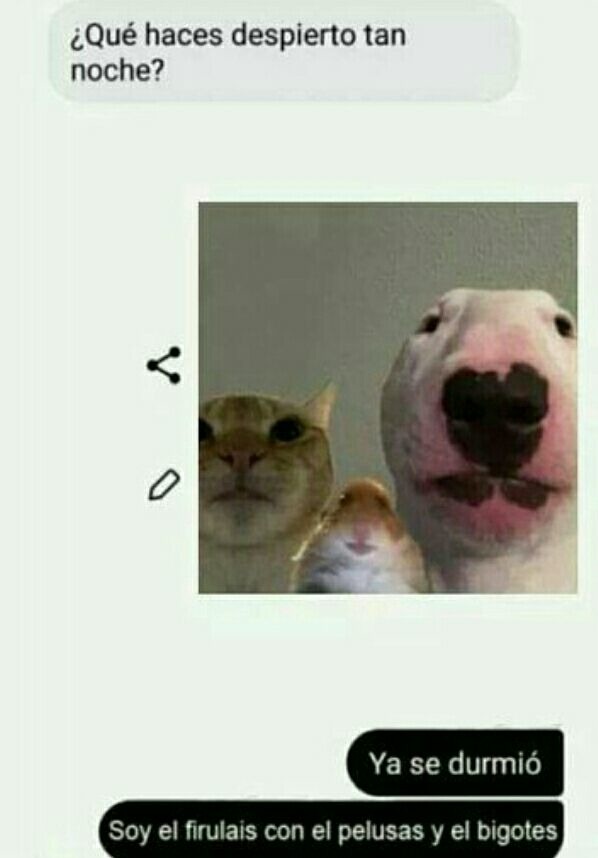 El firulais con el pelusas y el bigotes - Meme subido por NapTroll ...