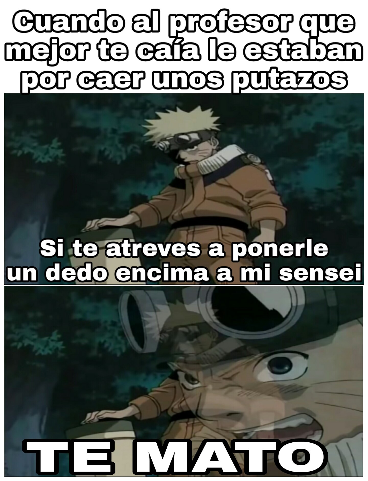 Holo - Meme subido por TeAche :) Memedroid