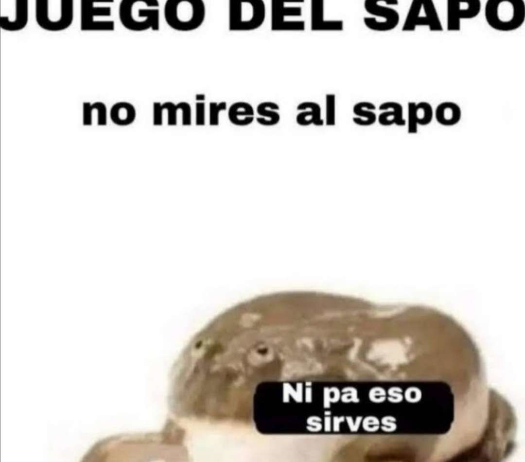 Top memes de Sapo en español :) Memedroid