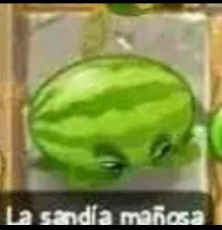 Top memes de Sandía en español :) Memedroid