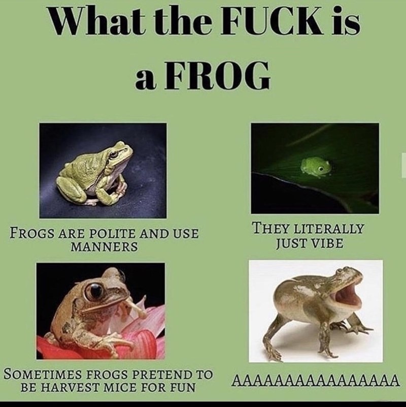 Frogs - Meme by SCAR_LETT :) Memedroid