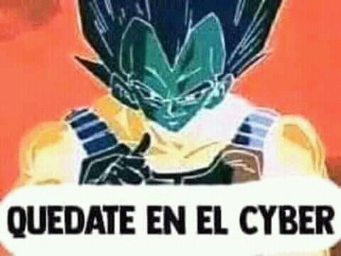 Top memes de el ciber de vegeta en español :) Memedroid