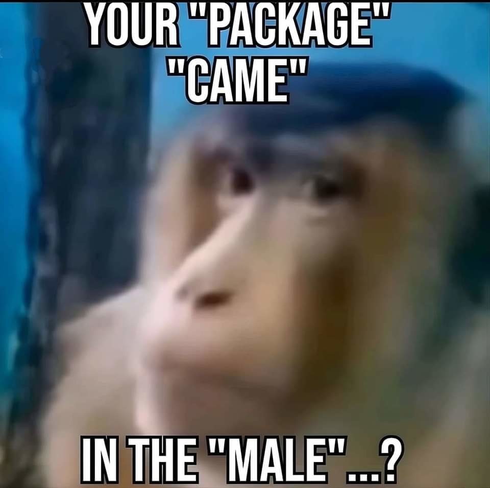 The Latest Memes :) Memedroid