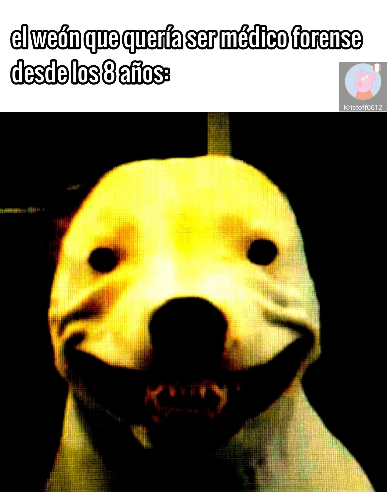 sí - Meme subido por Kristoff0612 :) Memedroid