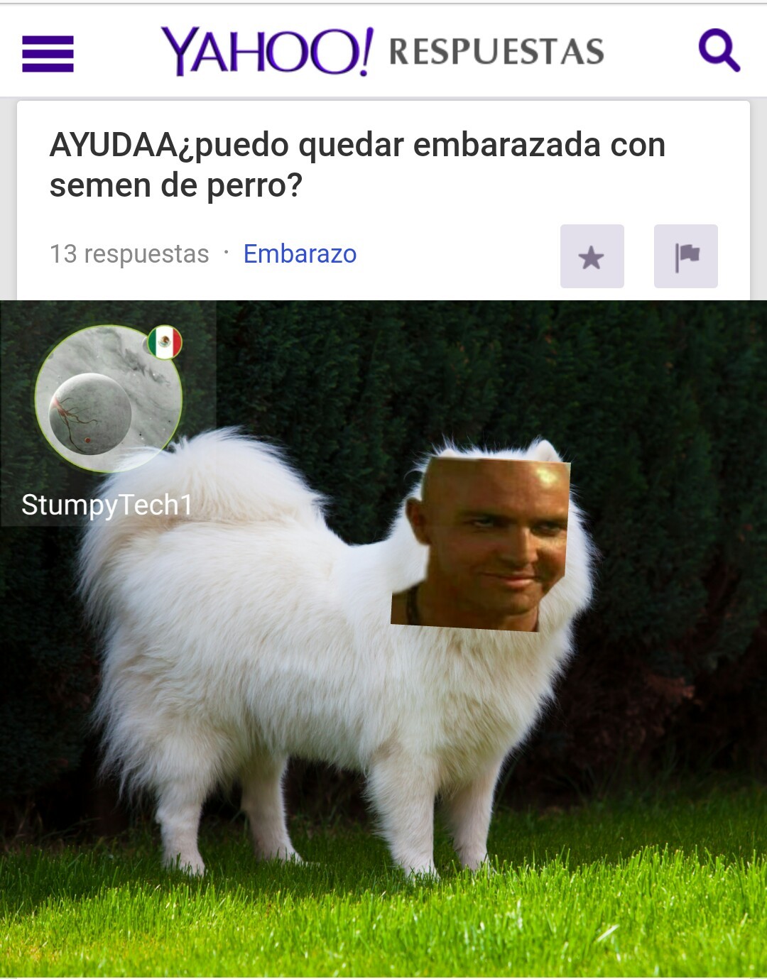 Deli deli - Meme by StumpyTech1 :) Memedroid