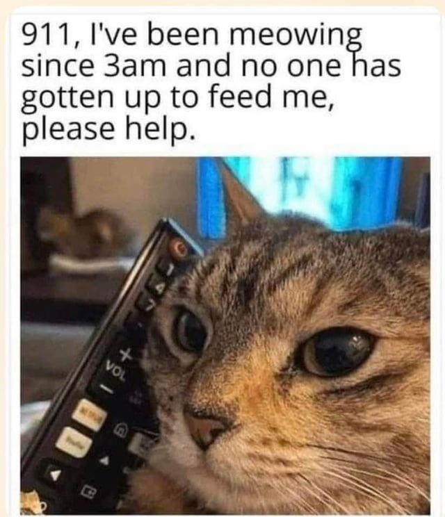 The best 911 memes :) Memedroid