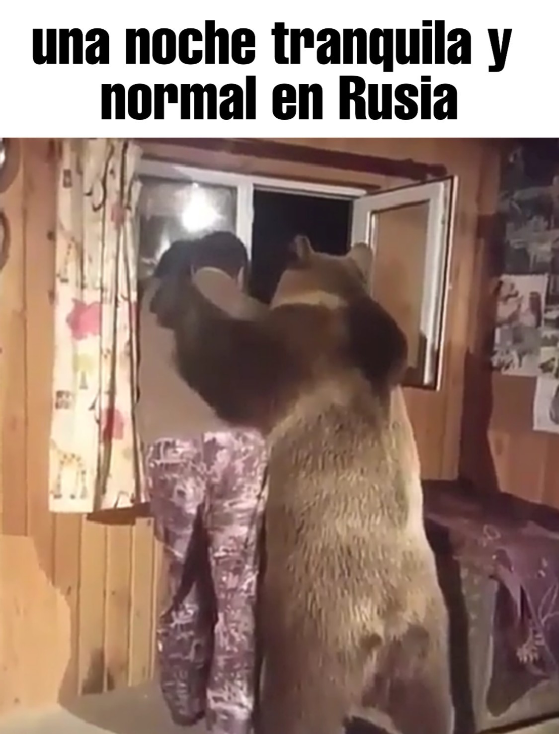 Memelovsky - Meme subido por _Rolex_ :) Memedroid