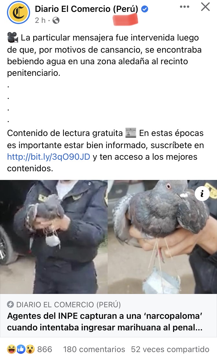 bru - Meme by Suricata123 :) Memedroid