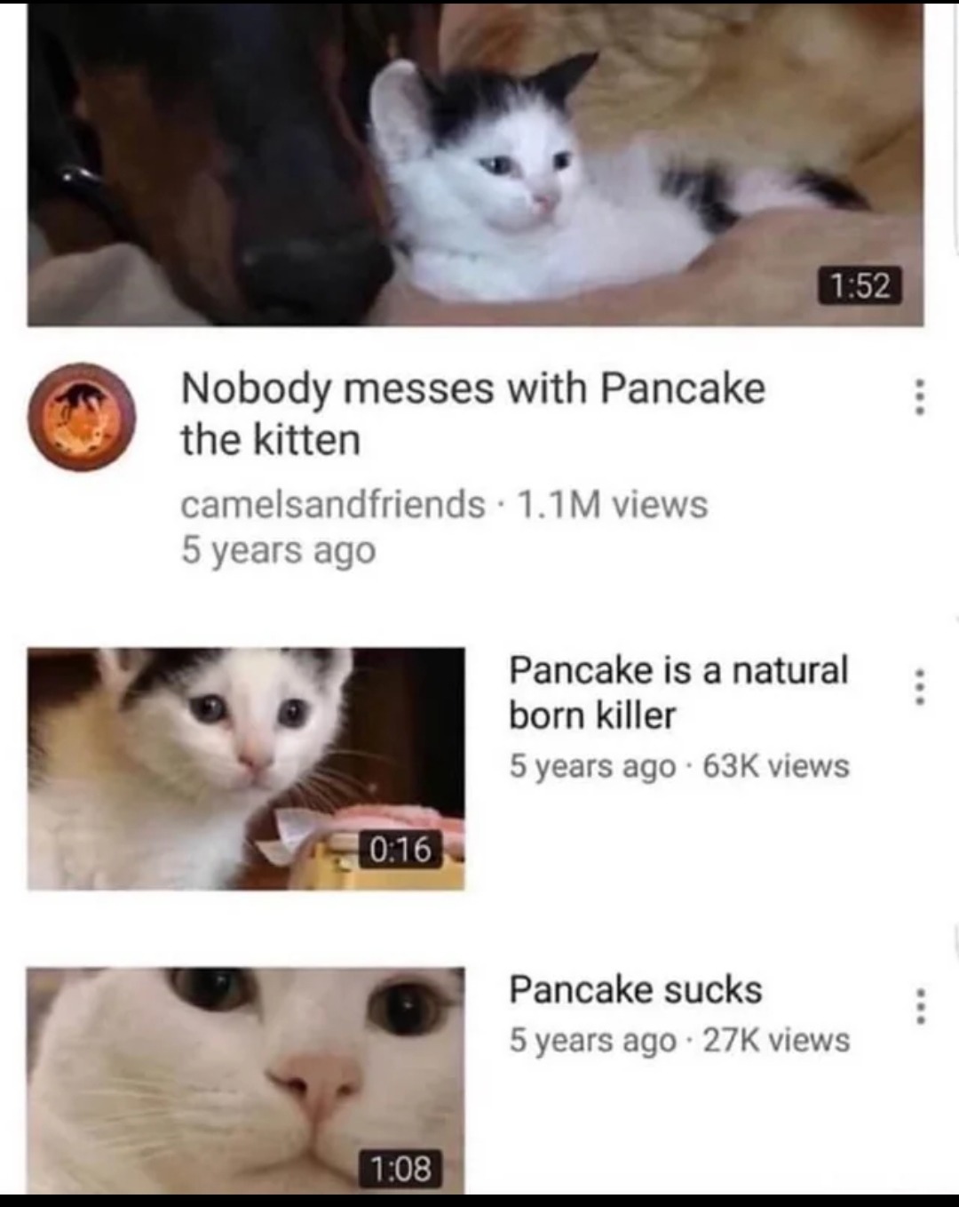 The best Pancakes memes :) Memedroid