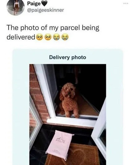 The best Package memes :) Memedroid