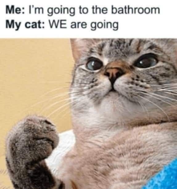 The Latest Memes :) Memedroid