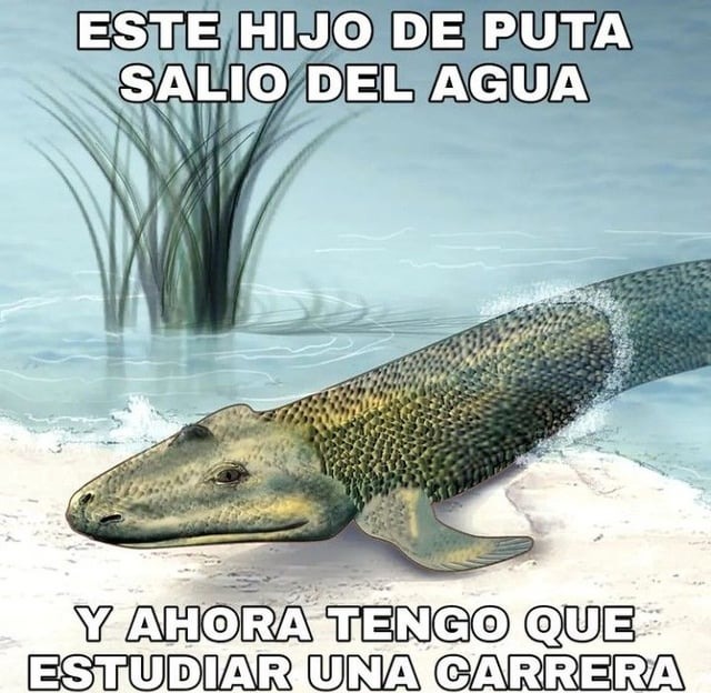 meme random - Meme subido por milolucas :) Memedroid