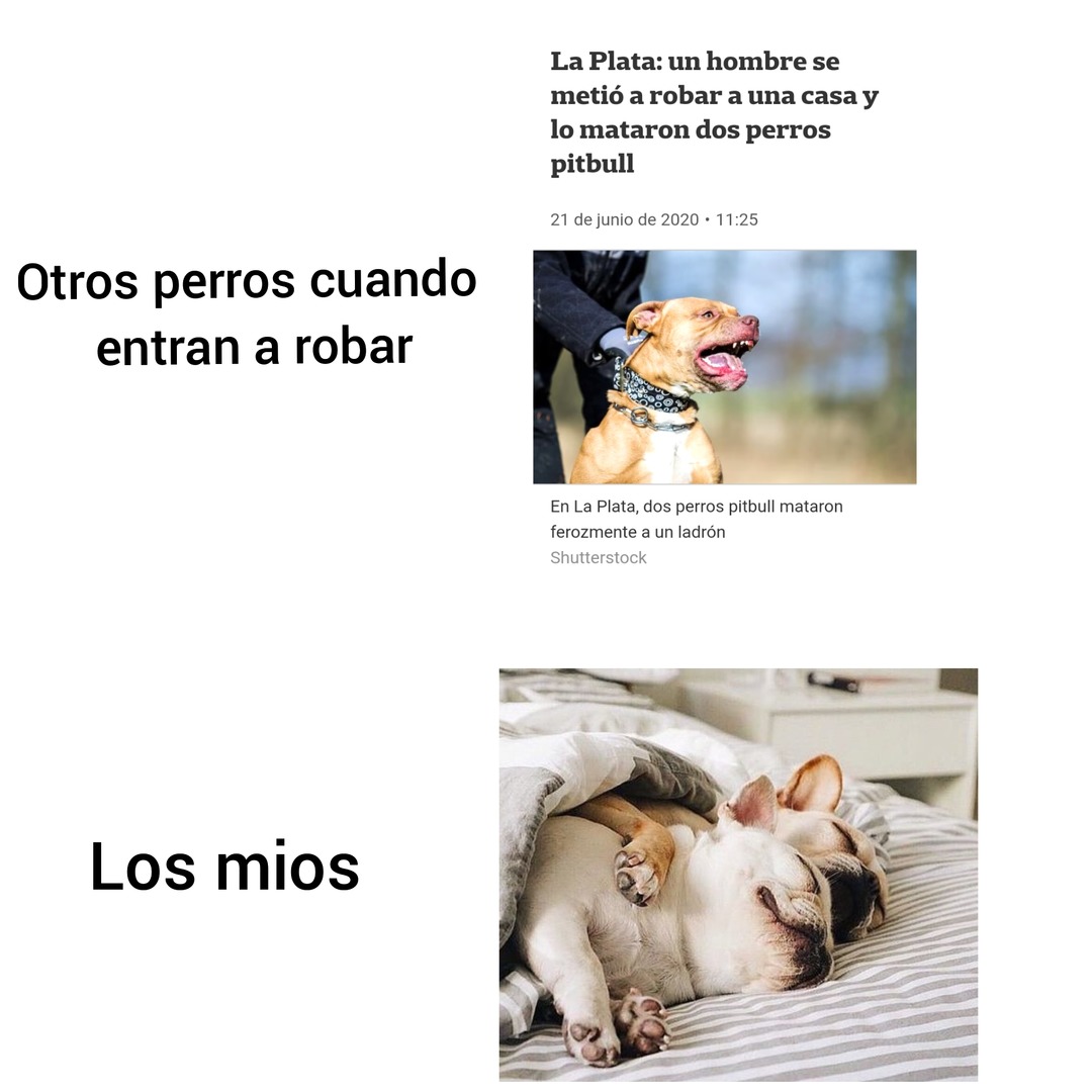 Top memes de Ladrón en español :) Memedroid