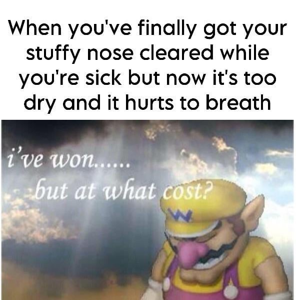 The Best Funny Winter memes:) Memedroid
