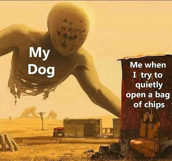 Rip - Meme by The_Party_Pooper :) Memedroid