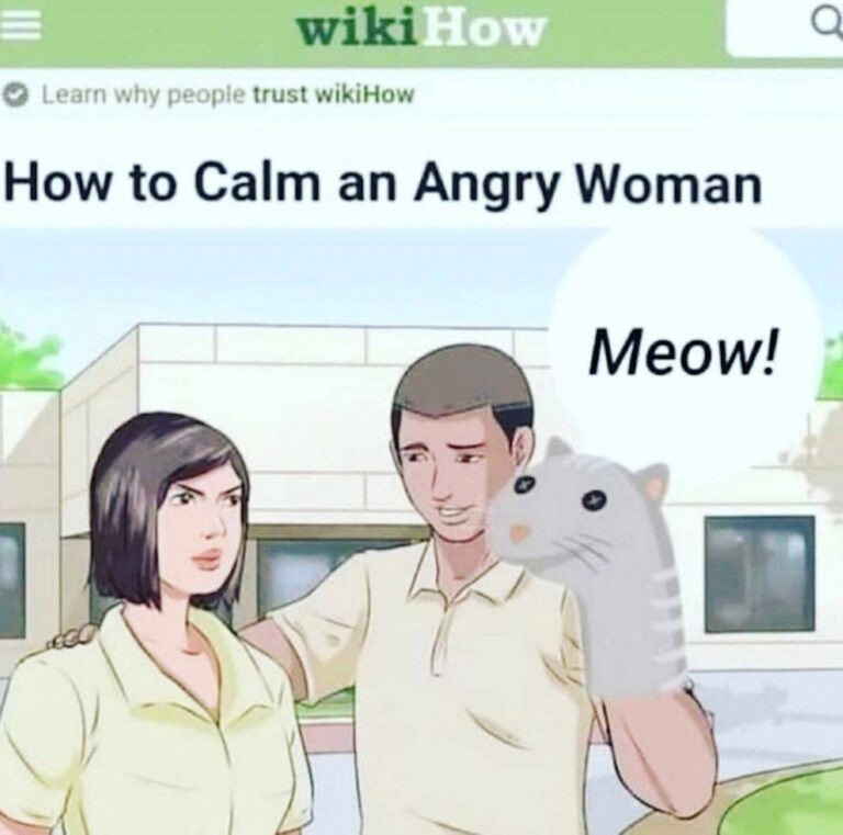 Exploring Wikihow Memes: Unleashing Humor on Step-by-Step Guides