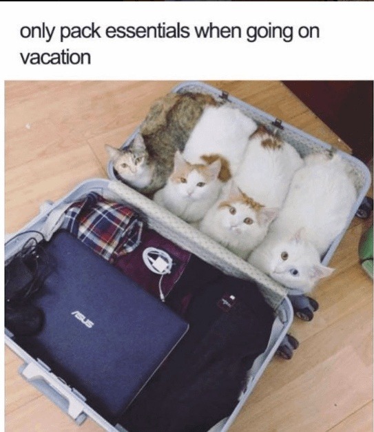 The best Packing memes :) Memedroid