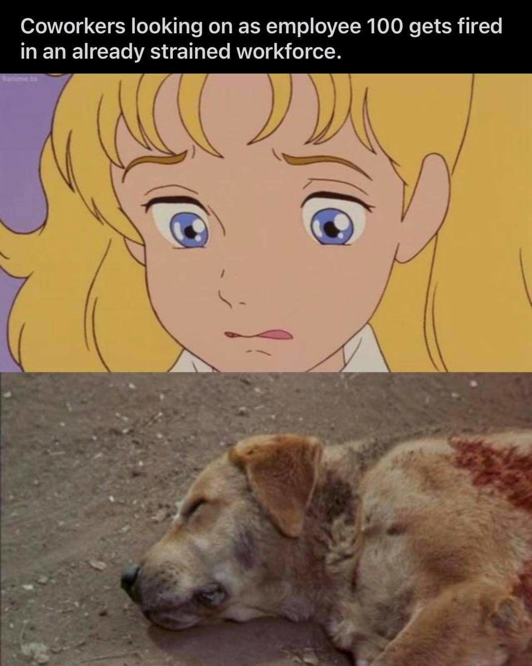 Bye bye - Meme by SocialismKills :) Memedroid