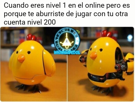 Memes De Pollos Con Escopeta