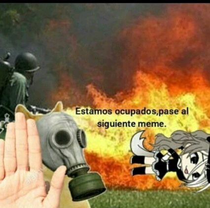 tamo ocupao - Meme subido por Rpy._ :) Memedroid