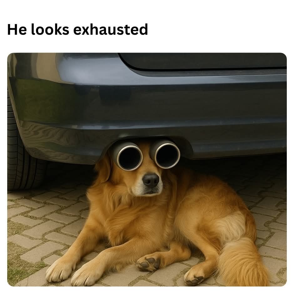 The best Exhausted memes :) Memedroid