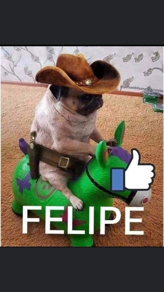 Felipe - Meme subido por Saxooo :) Memedroid