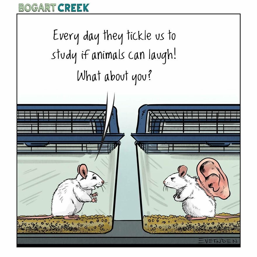 The best Mouse memes :) Memedroid