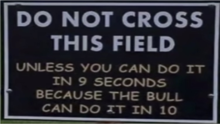 Bulls tho - Meme by pocat :) Memedroid