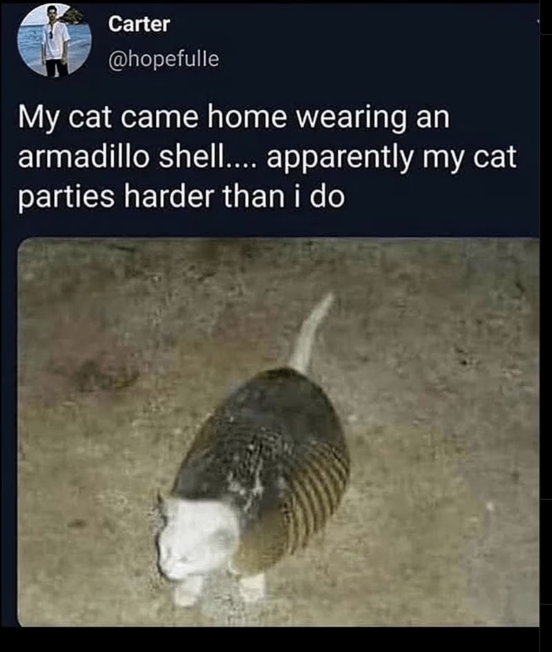 Title - Meme by Grumpasaurus :) Memedroid