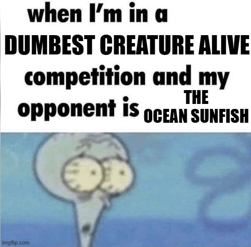 The best Ocean memes :) Memedroid