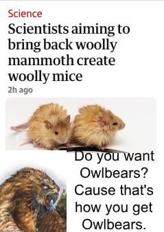 The Best DnD Memes :) Memedroid