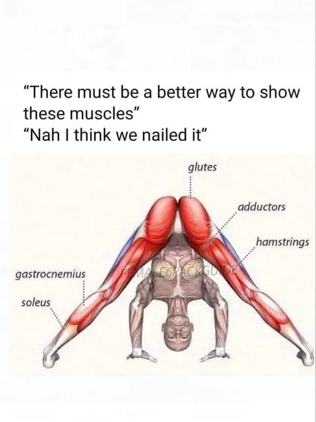 The best Muscle memes :) Memedroid
