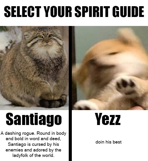 Spirit Cat Memes