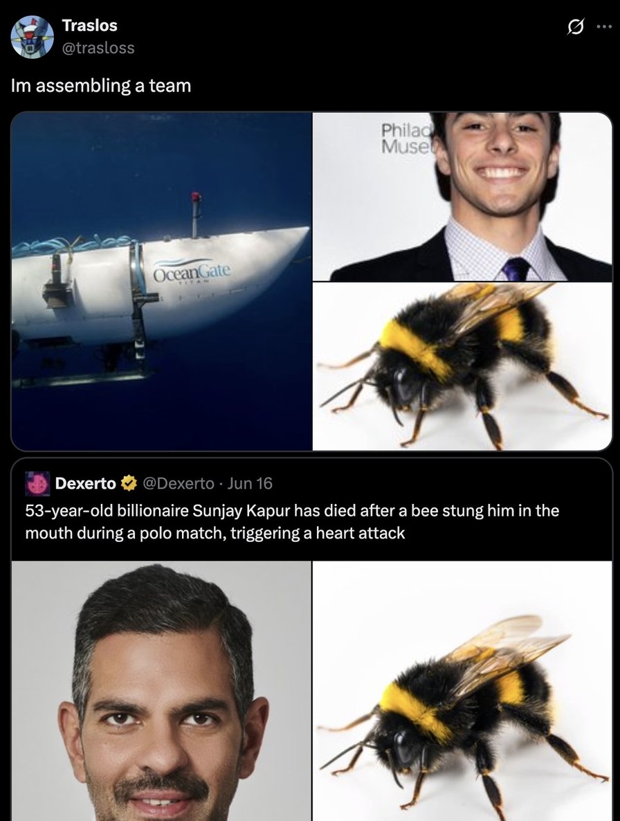 The best Bee memes :) Memedroid