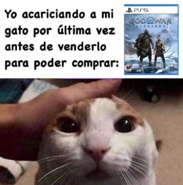 Meme gato vs god of war - Meme by Alextrex10 :) Memedroid