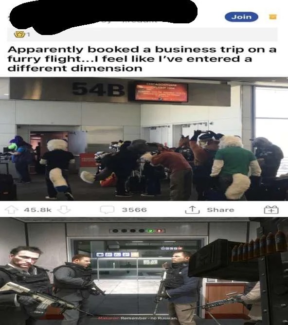 The best Furry memes :) Memedroid