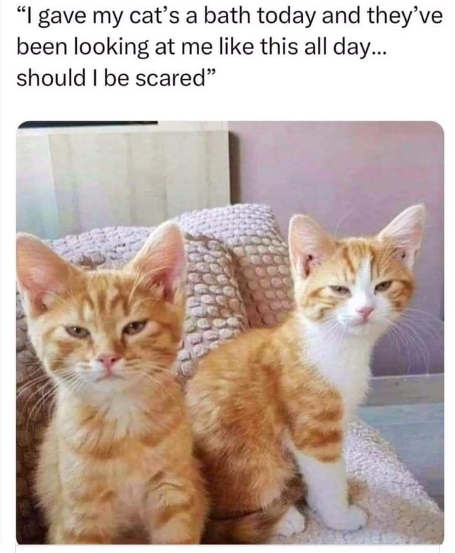 The best Bath memes :) Memedroid